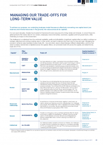 Anglo Platinum – Integrated Reporting Examples Database