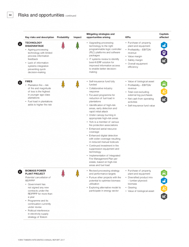 Risks and opportunities – Integrated Reporting Examples Database