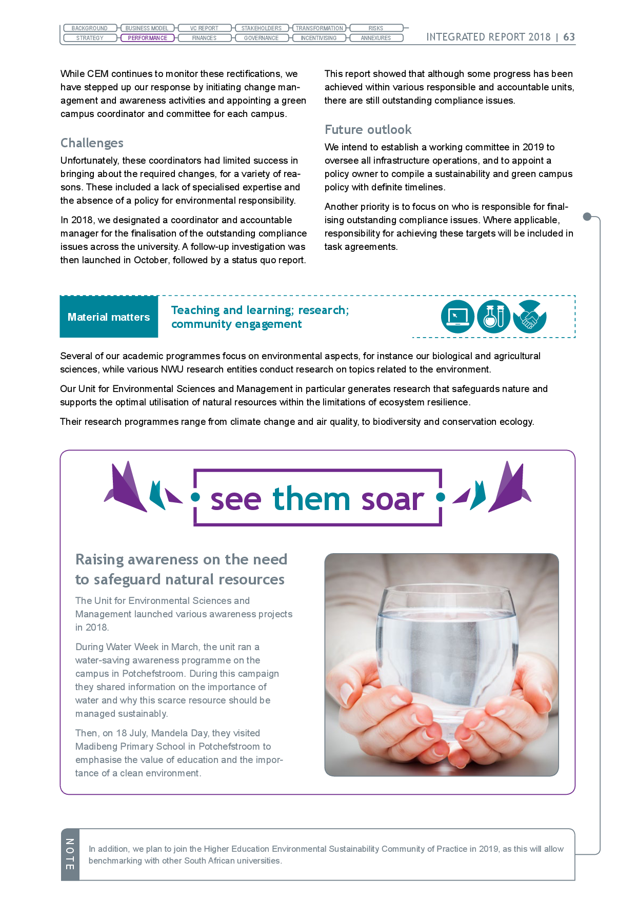 Performance – Integrated Reporting Examples Database